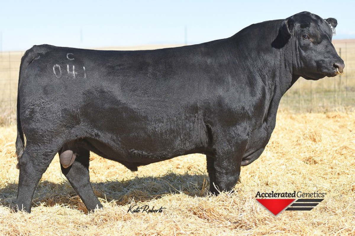 Baldridge Compass - Alumy Creek Angus